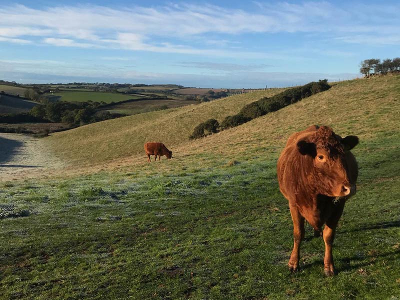 Trelonk Farm | Parnall Engineering Advanced Cornwall